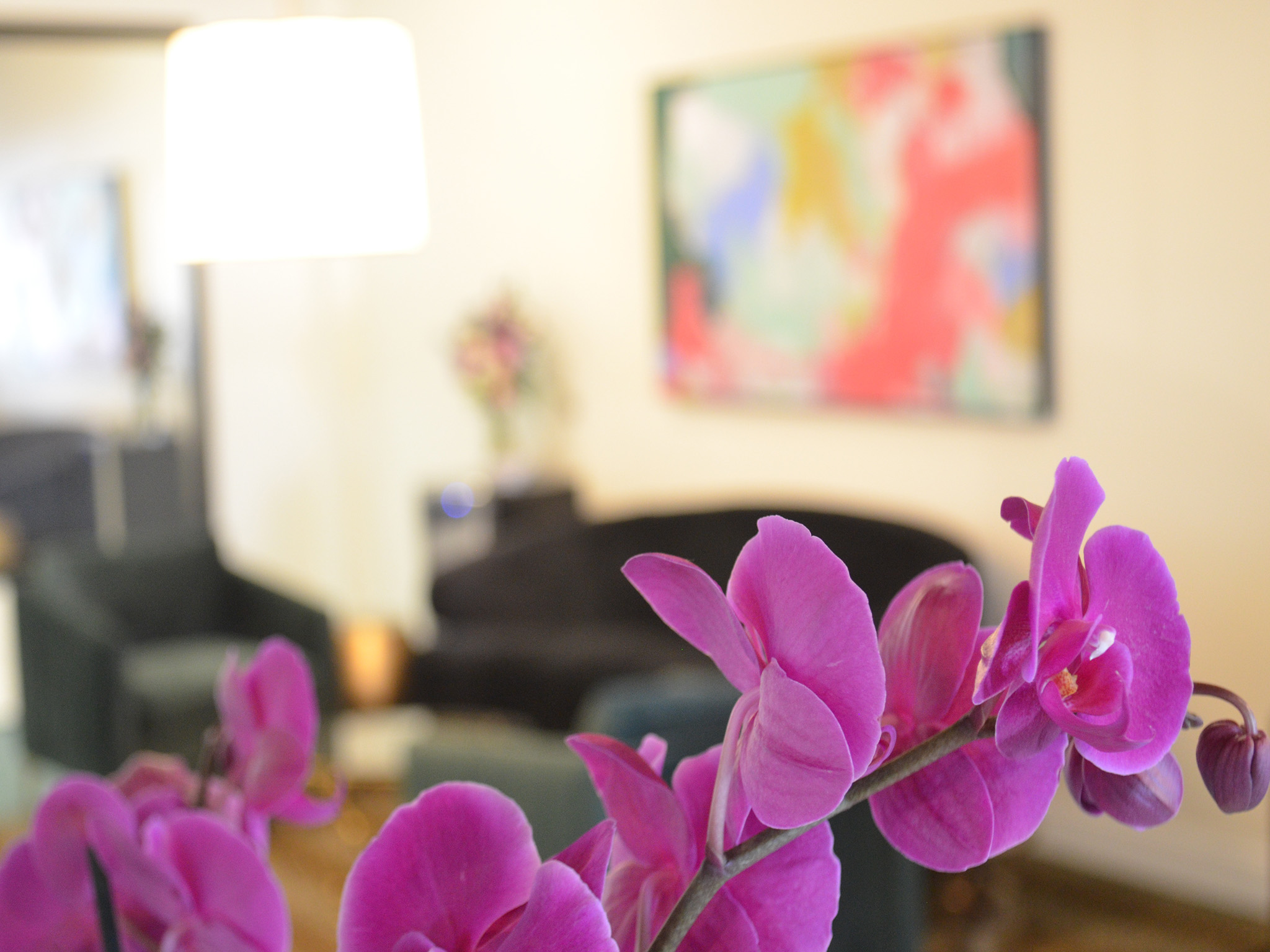 About the Curated Aesthetic, a First-Class Medical Spa